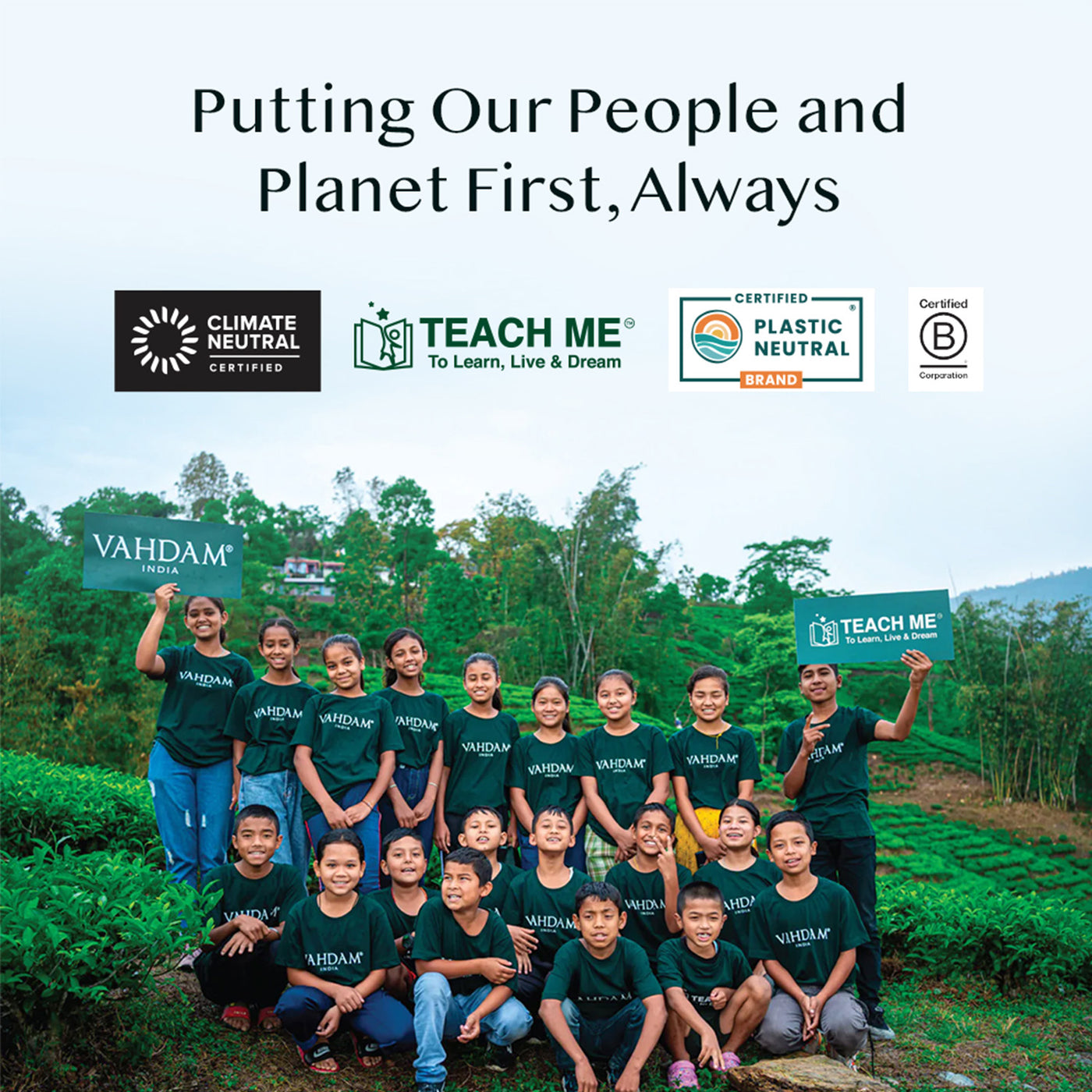 Assorted White Teas Sampler, 5 Teas