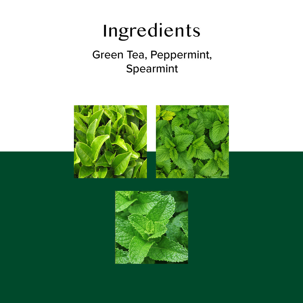 Mint Melody Green Tea | Loose Leaf Green Tea - 7 Oz