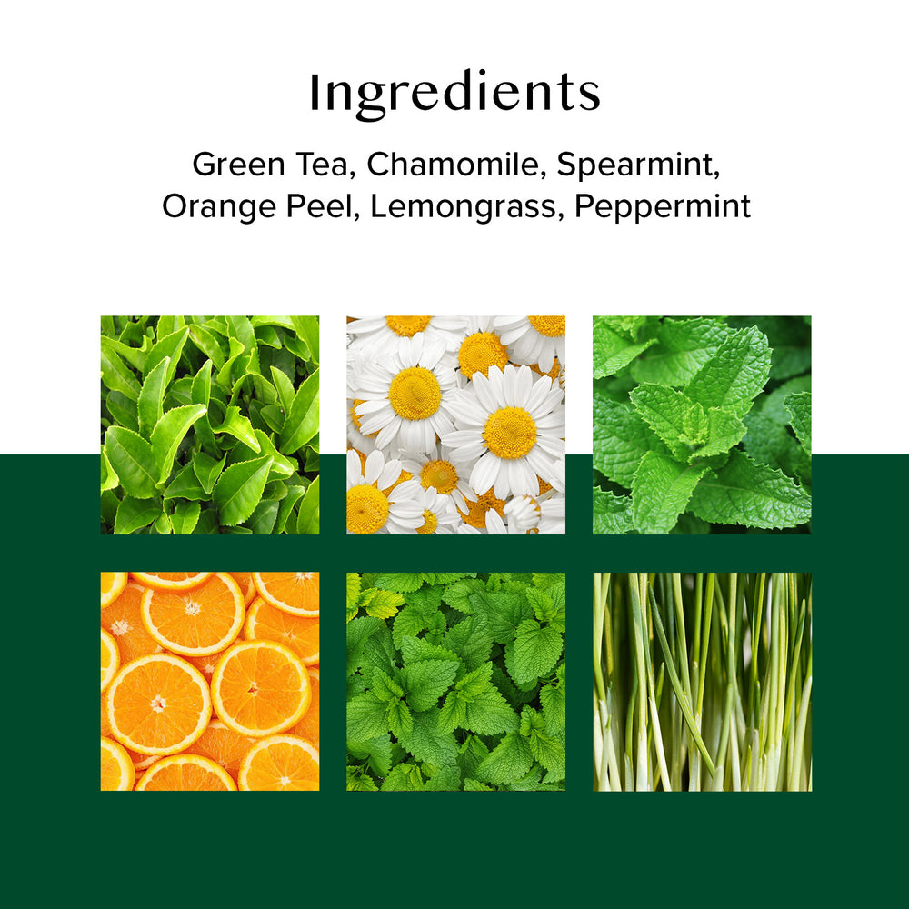 Chamomile Mint Citrus Green Tea Bags, 30 Count | Herbal Green Tea | VAHDAM®